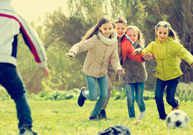 Luizen: van herkennen tot bestrijden - Silikom | Silikom