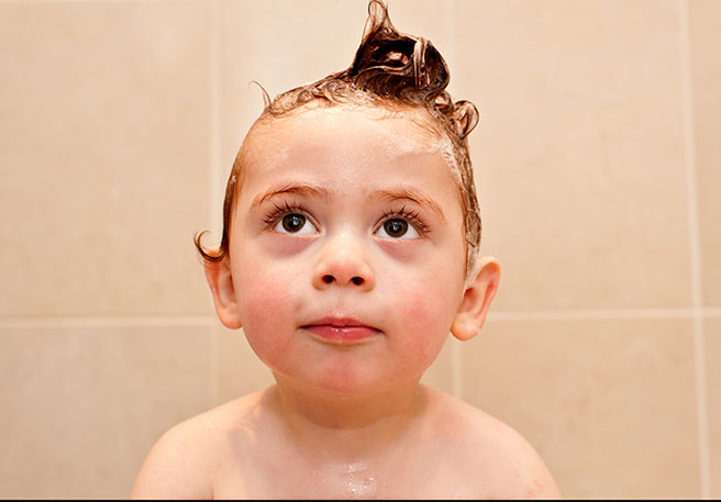 Luizen: van herkennen tot bestrijden - Silikom | Silikom